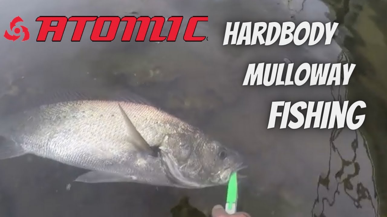 i saw a MULLOWAY eat my LURE ! ! ! ! ! - YouTube