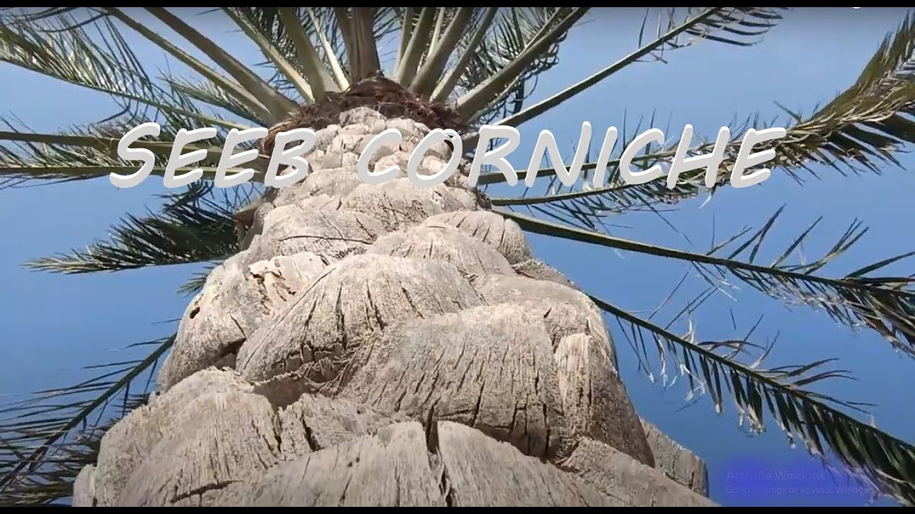 SEEB CORNICHE | SEEB BEACH | AL SEEB - YouTube