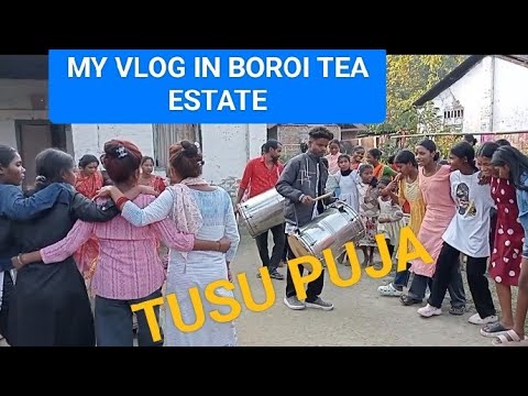 MY vlog in Boroi tea garden #biswanath Assam #Tusu puja celebration in ...