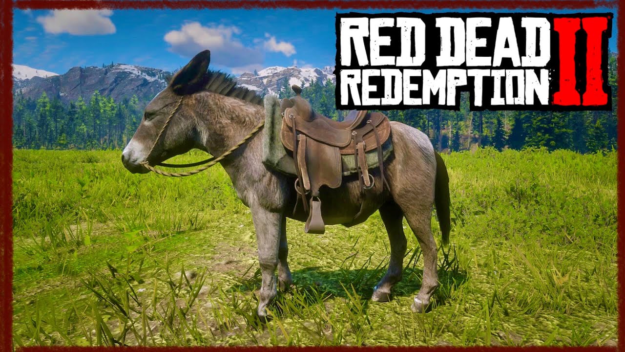 RDR2 I Found The Donkey King Red Dead Redemption 2 - YouTube