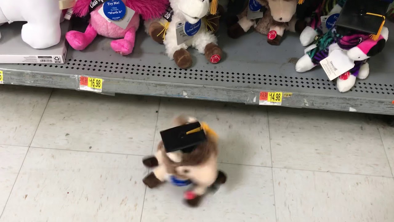 Dandee animated graduation spinning llama - YouTube