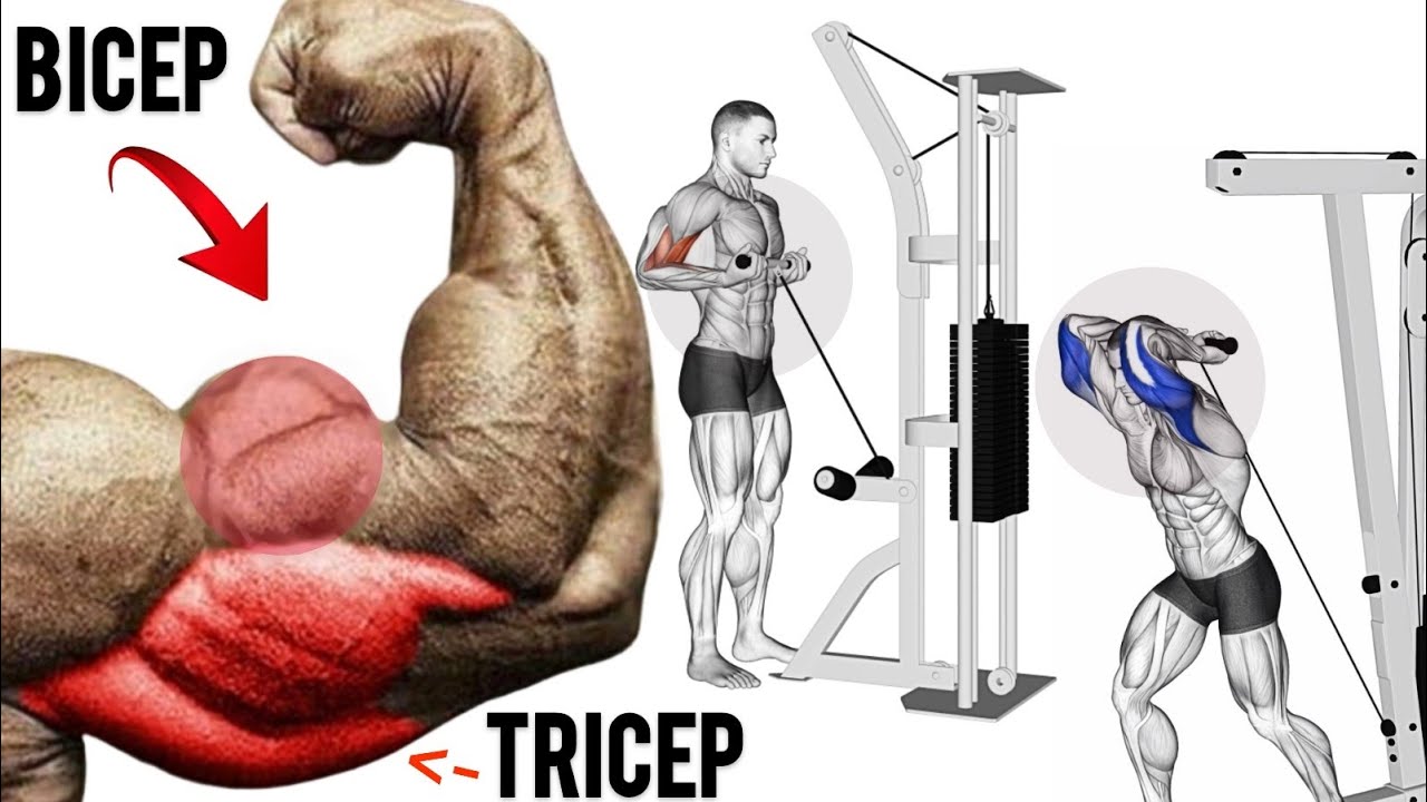 Best Tricep Exercises And Bicep Exercises To Build Big Arm | Tricep ...