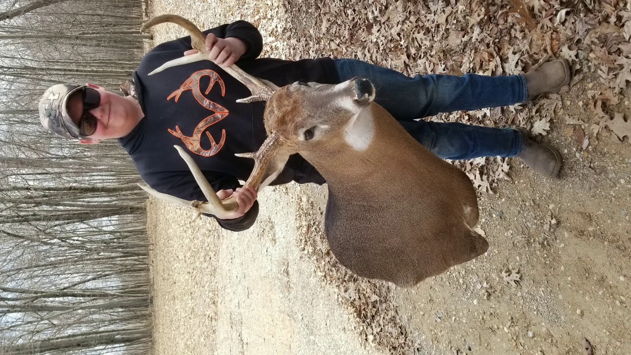 Whitetail museum in Jackson county Michigan - YouTube