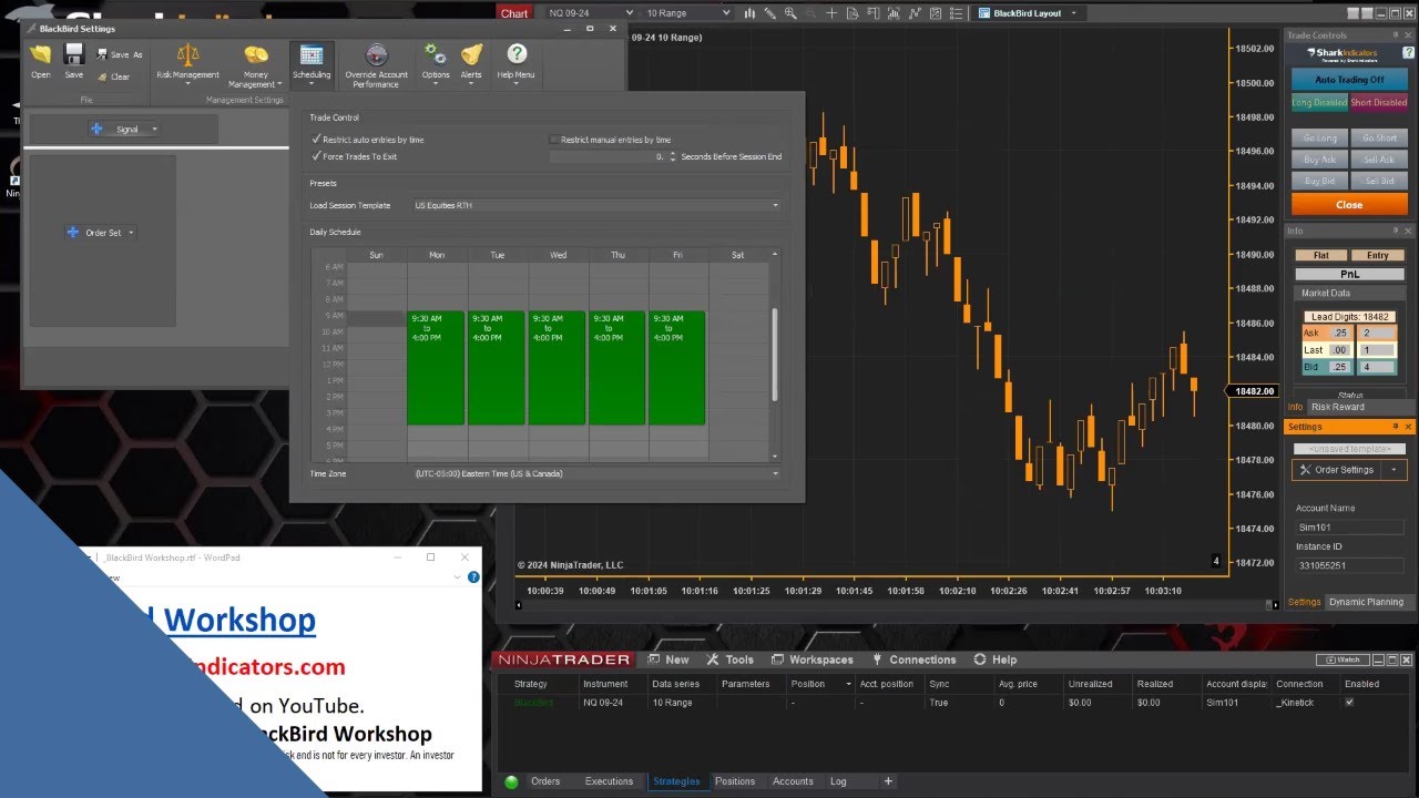 BlackBird - How to Flatten a Trade When the Market Closes - YouTube