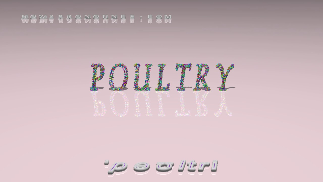 poultry - pronunciation + Examples in sentences and phrases - YouTube