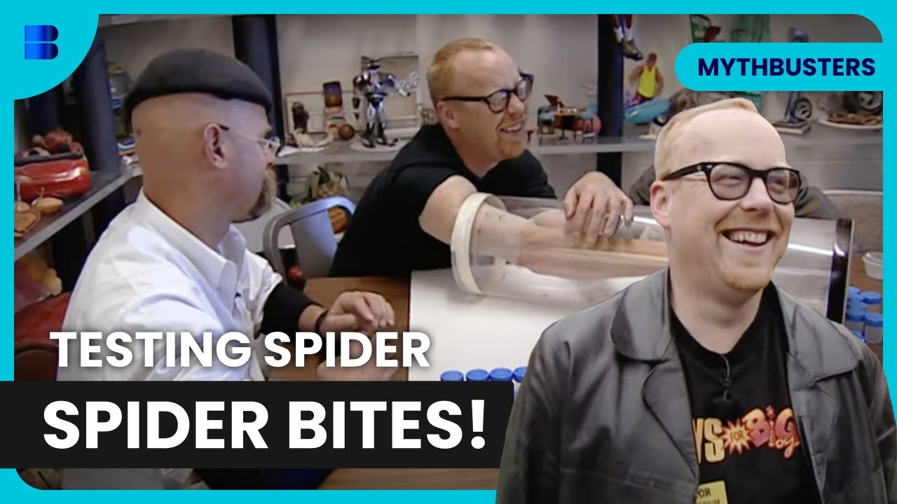 Busting Spider Bite Myths! - Mythbusters - Science Documentary - YouTube