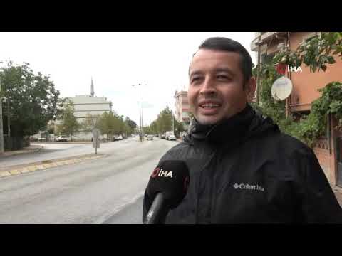 Uçmak yerine arabanın üstünde seyahati tercih eden akıllı karga!