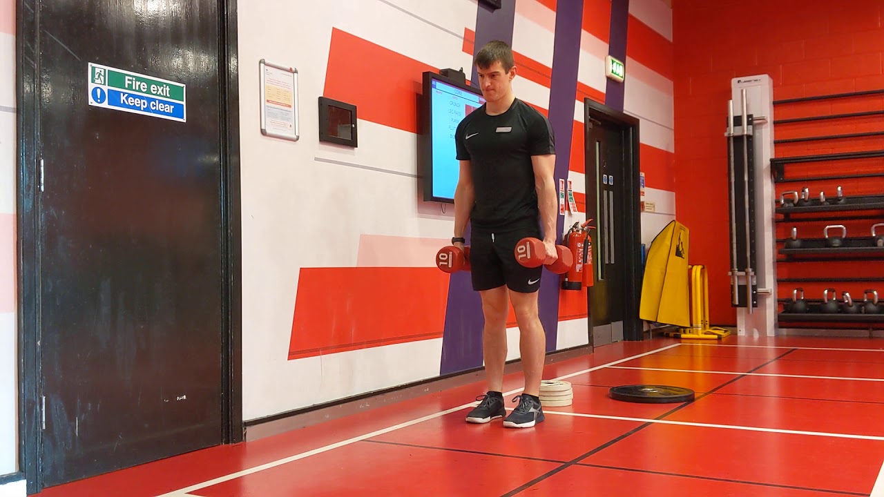Dumbbell bicep hammer curl - YouTube