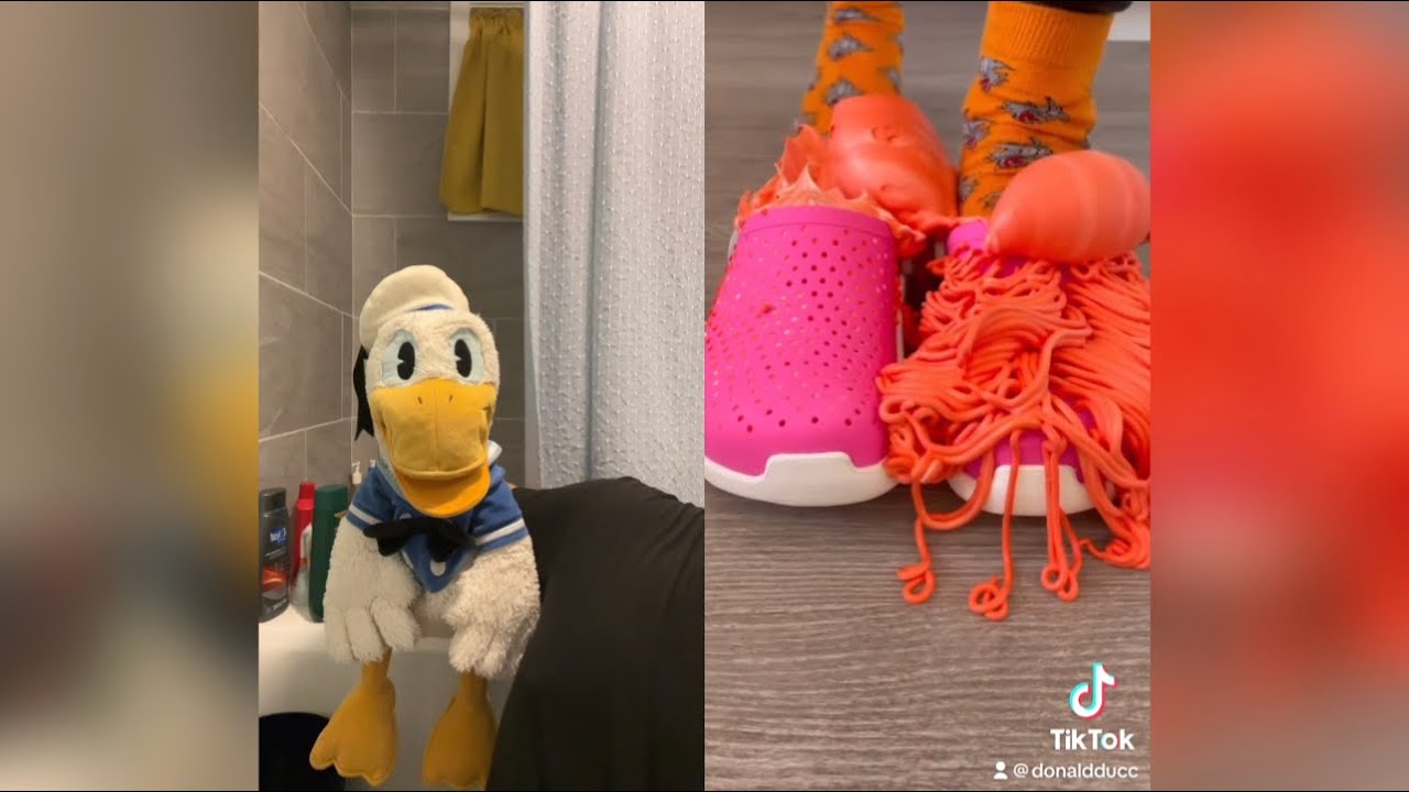 Donald Ducc Reacts To Satisfying TikToks 11 (TRY NOT TO LAUGH OR SMILE ...