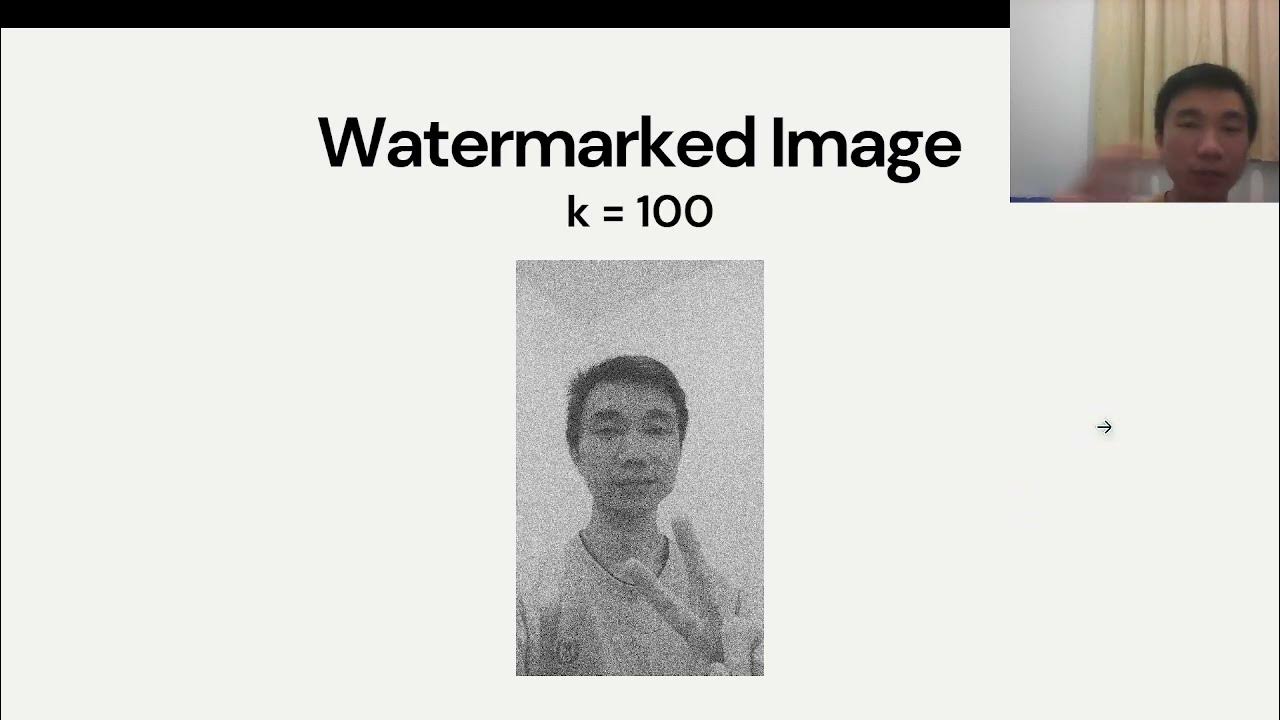 Digital Image Watermarking Python Code | Multimedia System - YouTube
