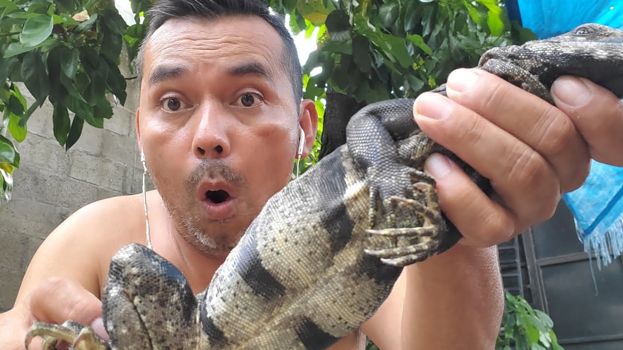 🐱 ME VOY HACER UN CONSOME DE GARROBO ... ES BROMA LO DEJE IR, MI GATO LO ASUSTO - YouTube