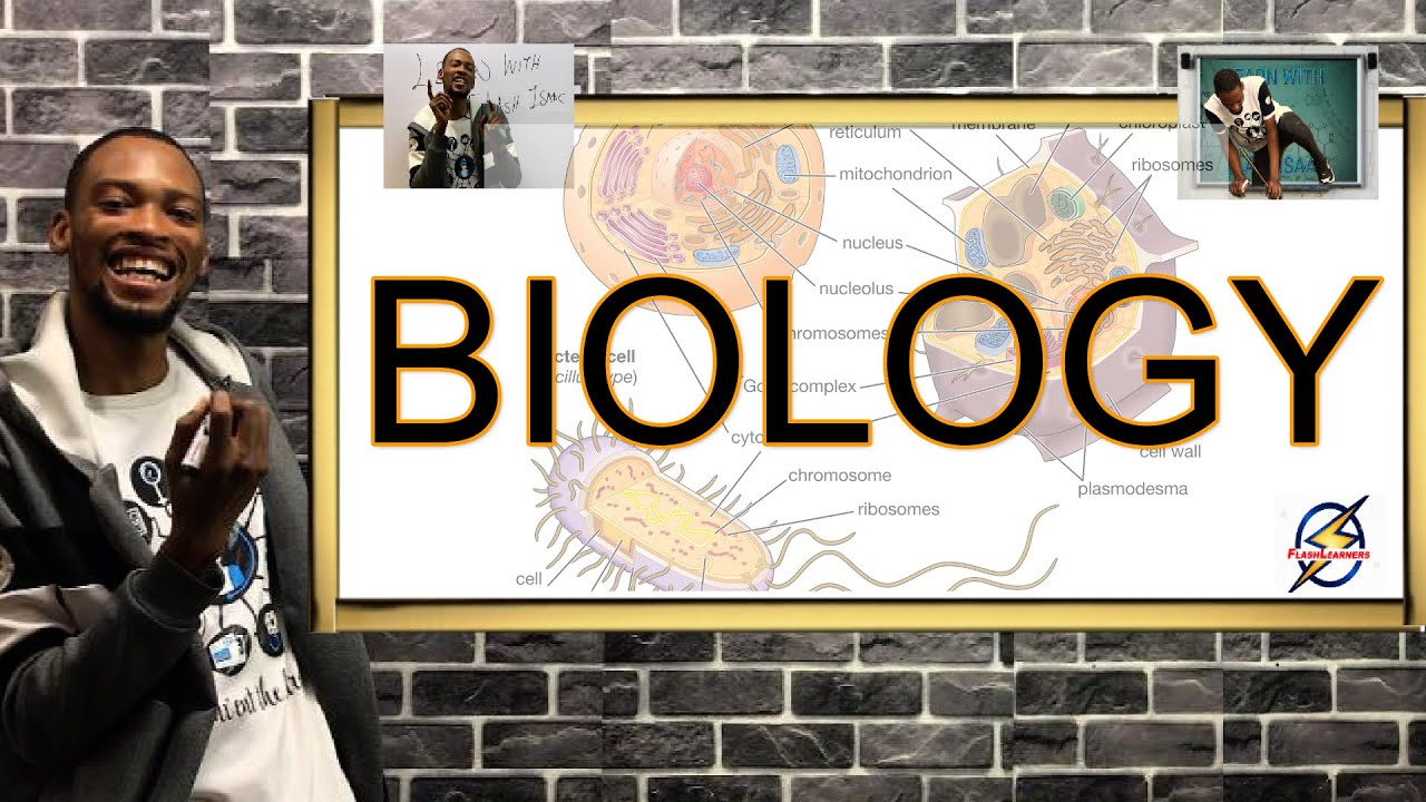Meaning And Branches of Biology (Simplified) - YouTube