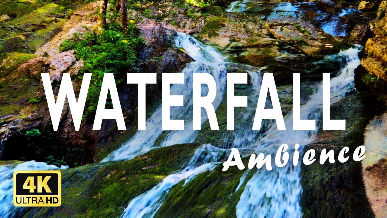 Beautiful Waterfall in Forest & Birdsong Film | 8 hours | Deep ...