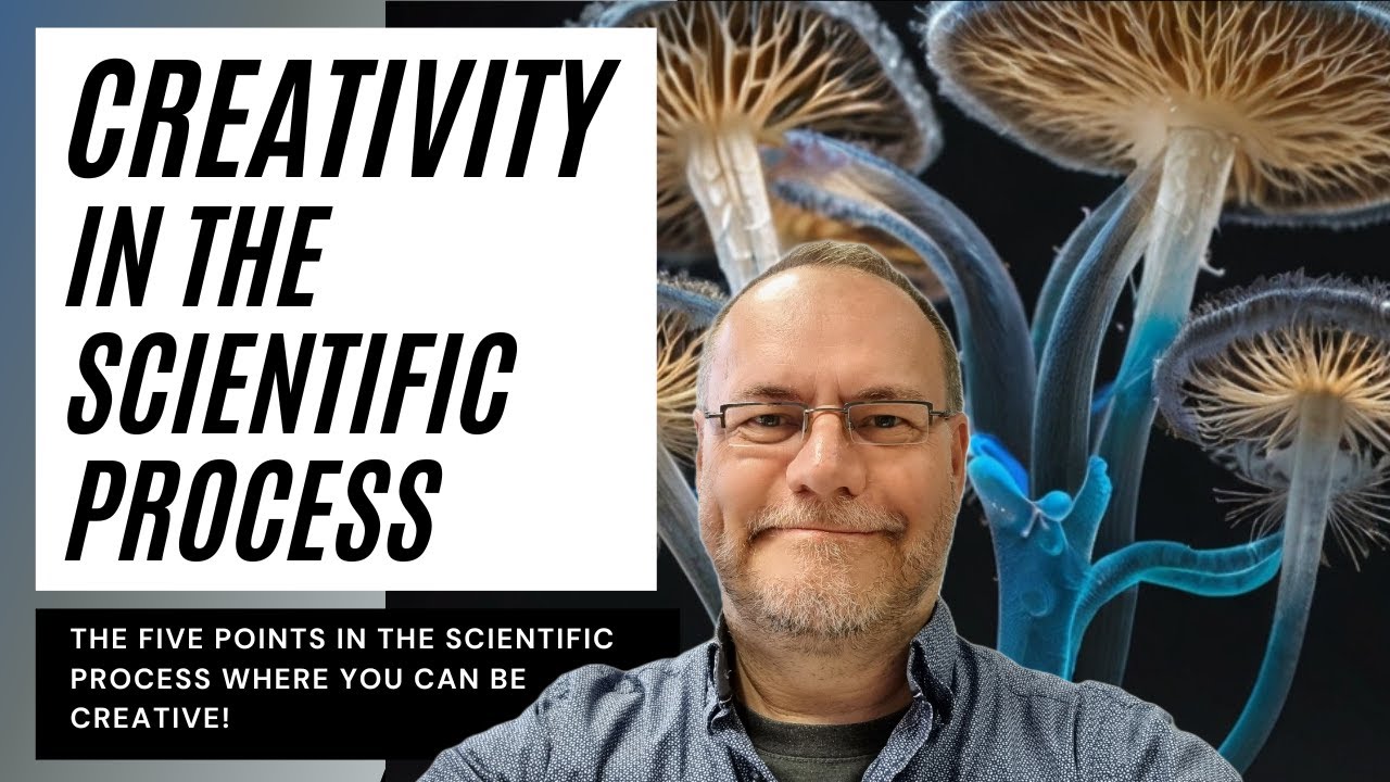 Creativity in the scientific process: the 5 points where you can be ...