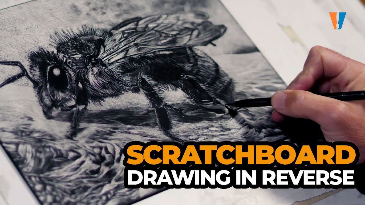 Scratchboard - Drawing in Reverse - YouTube