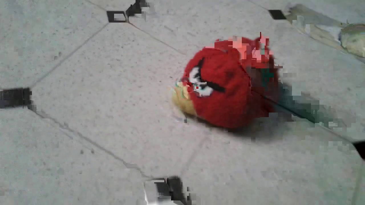 Red the anger bird for 1 minute - YouTube