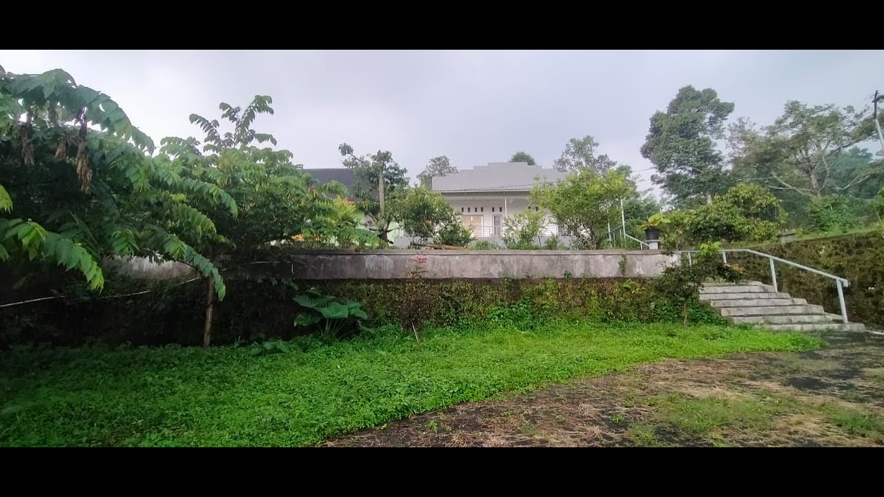 Villa Kebun di Nongkojajar kabupaten Pasuruan - YouTube