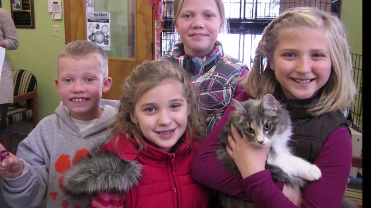 MCPAWS History - YouTube