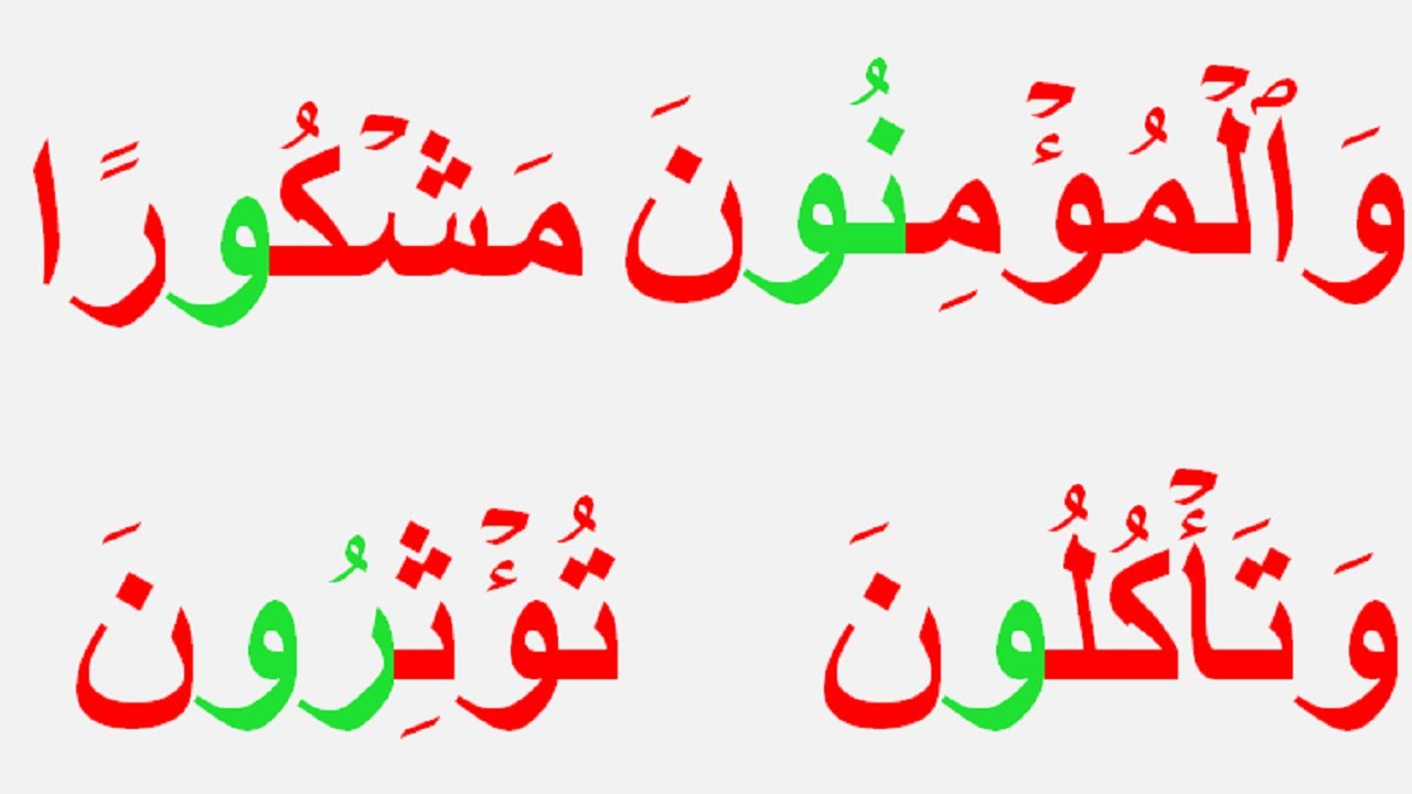 42دقيقة مع كلمات بها مد بالواو من المصحفالدرس31 Learn Arabic Youtube