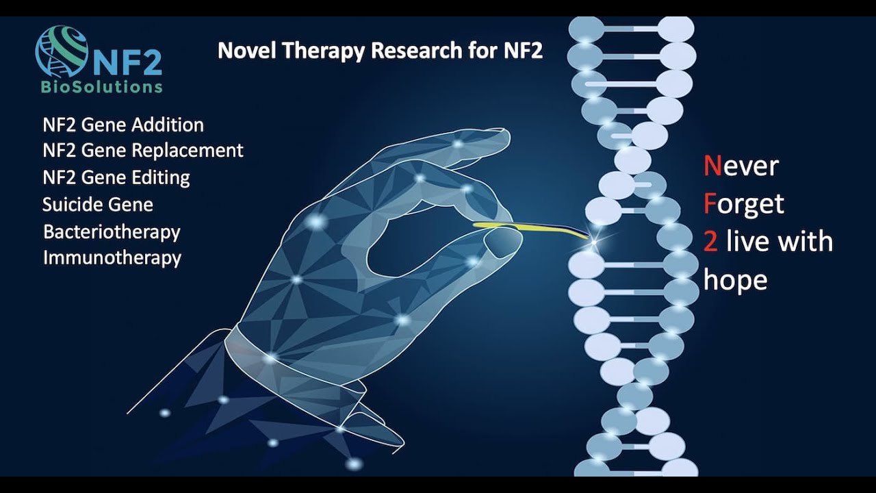Q&A with Doctor Chernoff about the CRISPR NF2 Gene Therapy - YouTube