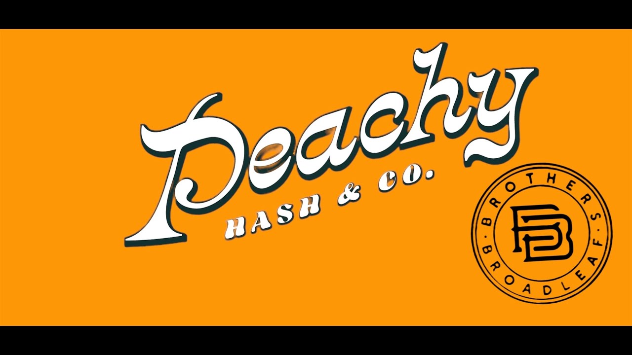 QUICK #710 VLOG WITH PEACHY HASH & CO TWAX B!UNTS - YouTube