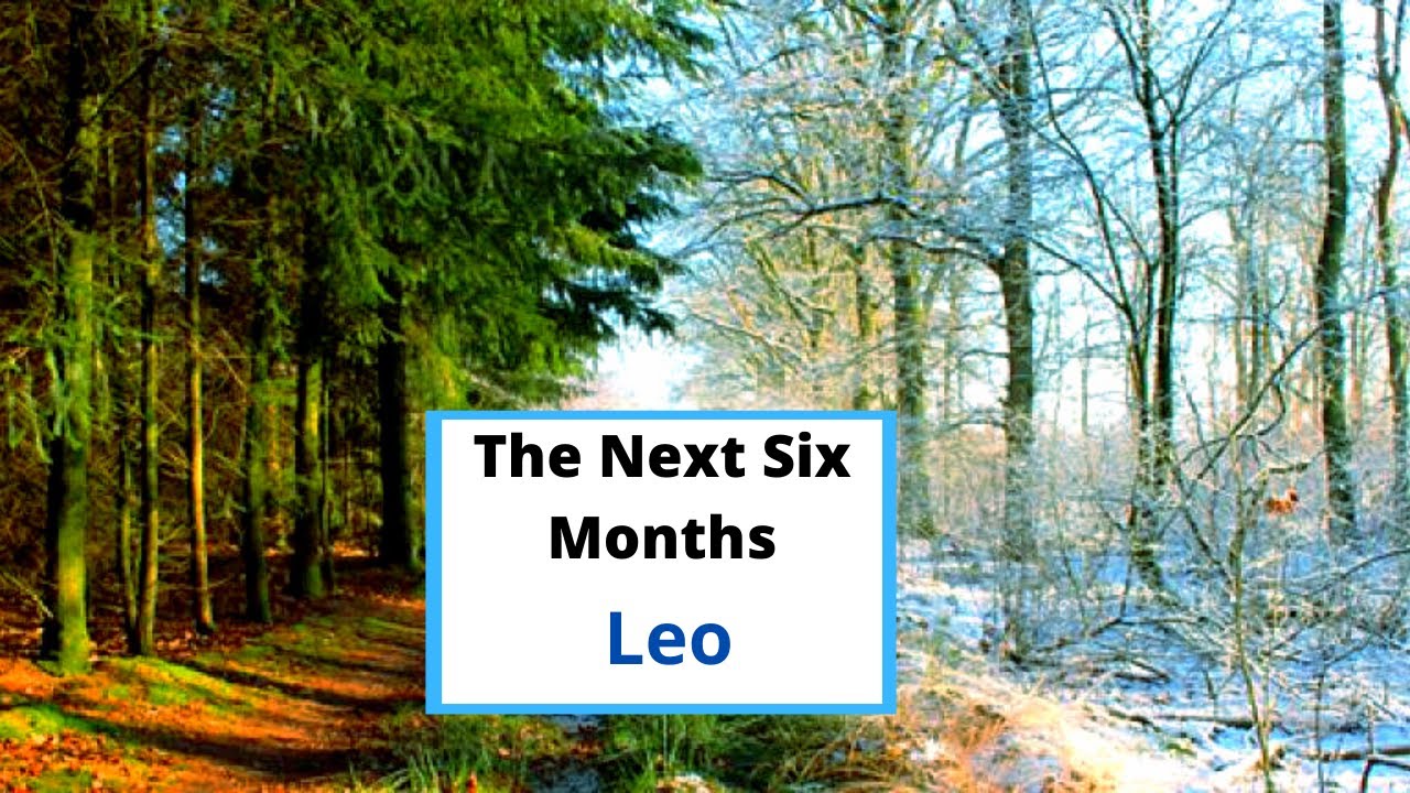 The Next Six Months for Leo - YouTube