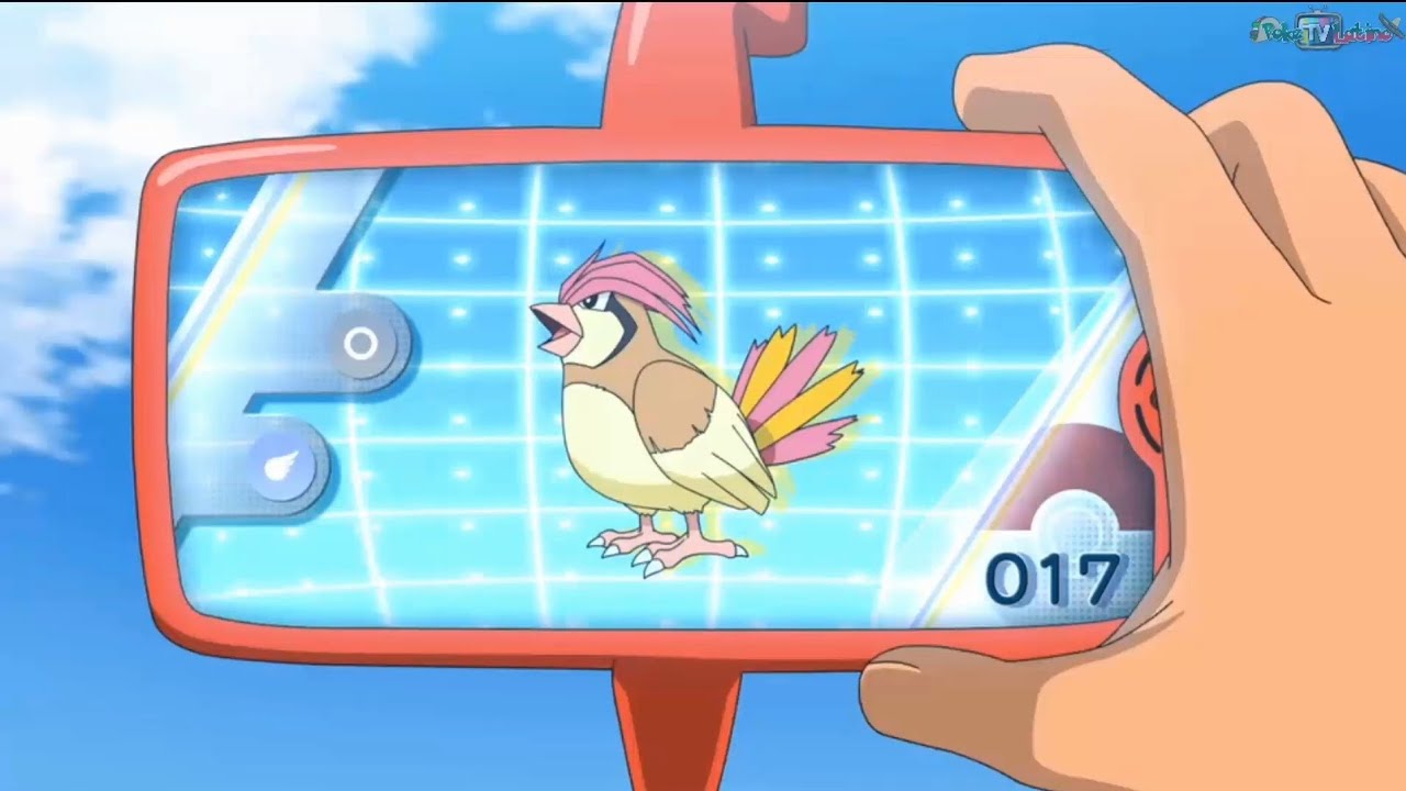 Pokédex | Anime | Pidgeotto #2 - YouTube