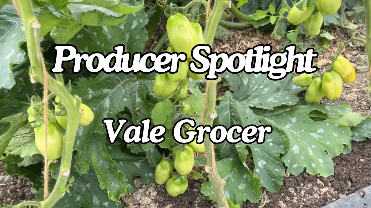 Producer Spotlight - Vale Grocer - YouTube