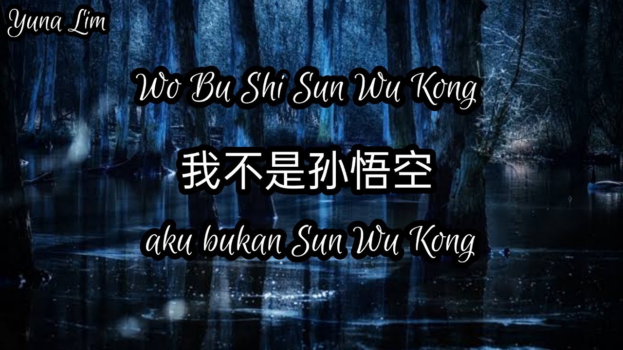 [REQ] Wo Bu Shi Sun Wu Kong "MALE" 我不是孙悟空 (aku bukan Sun Wu Kong) Sun ...