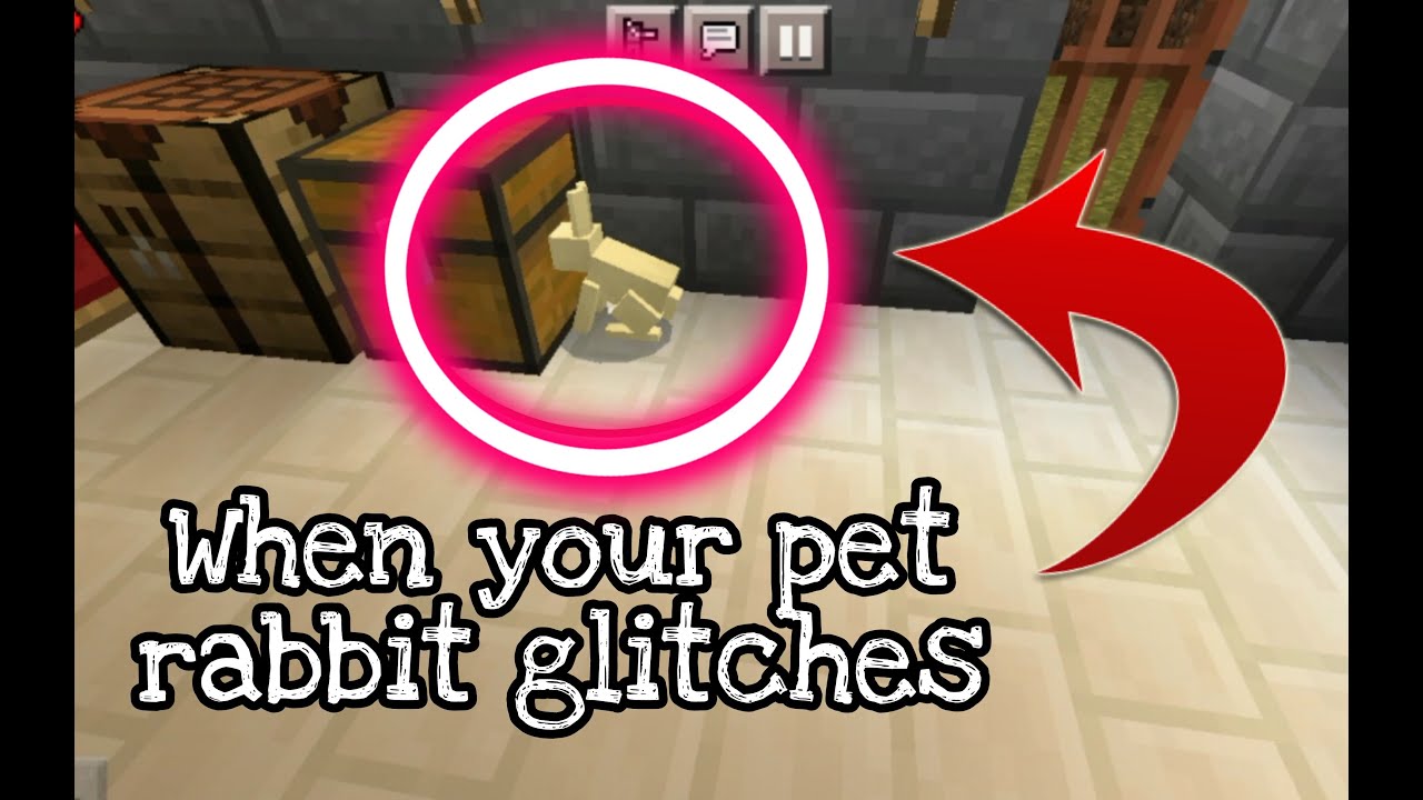 When your pet rabbit glitches - YouTube