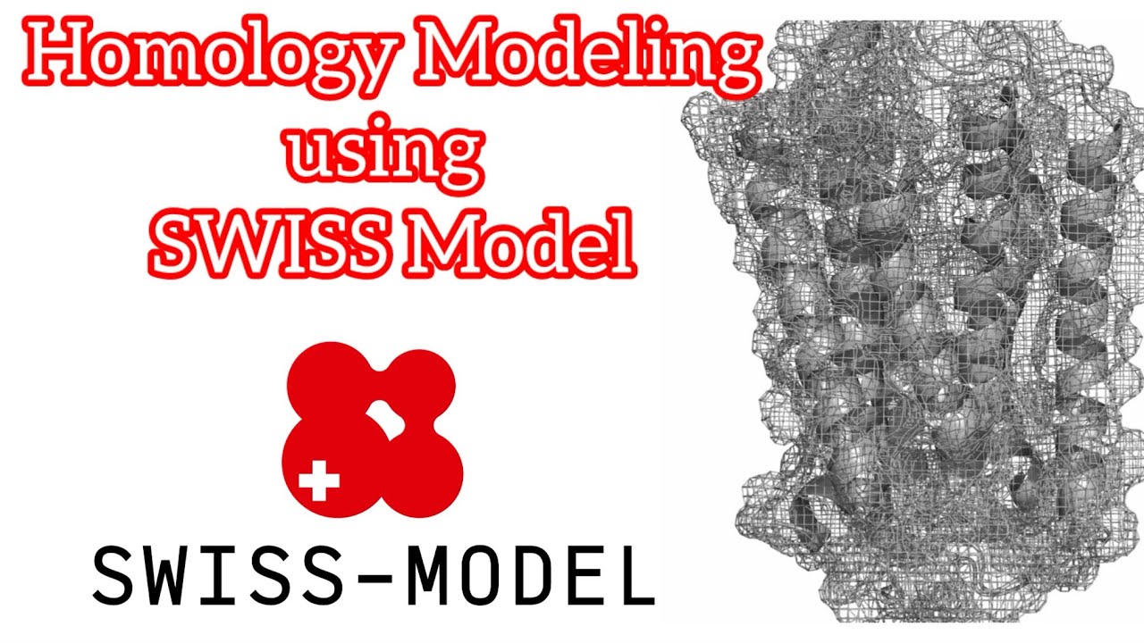 Homology Modeling Using SWISS-MODEL: A Step-by-Step Guide - YouTube
