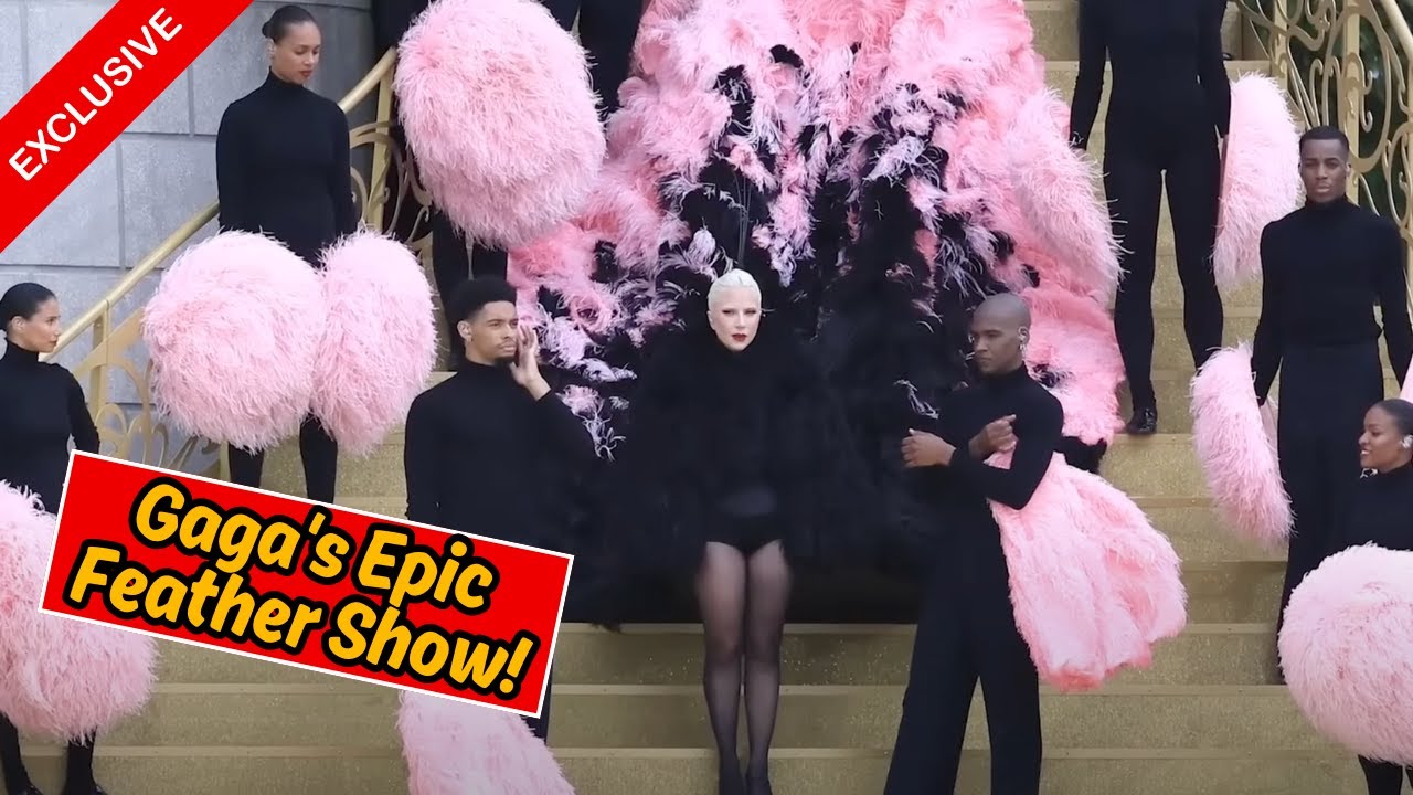 Lady Gaga Stuns with Feather-Filled Spectacle at Olympics 2024 Opening ...