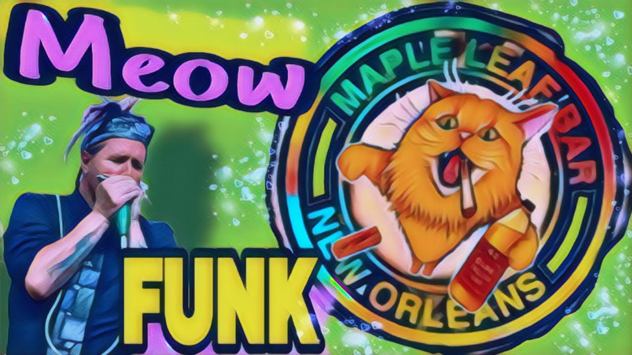 "Soul Serenade" Meow Funk 2025 - YouTube