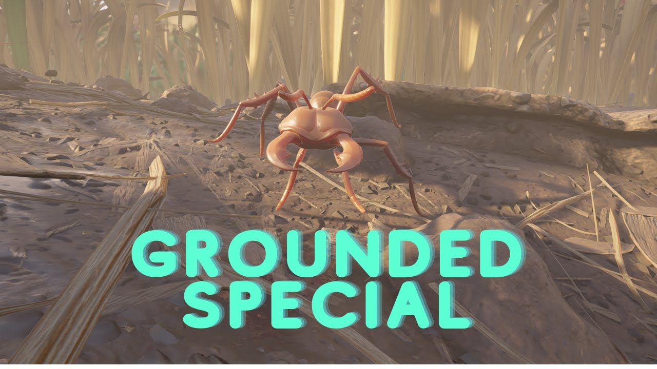 Grounded koi lab special! - YouTube