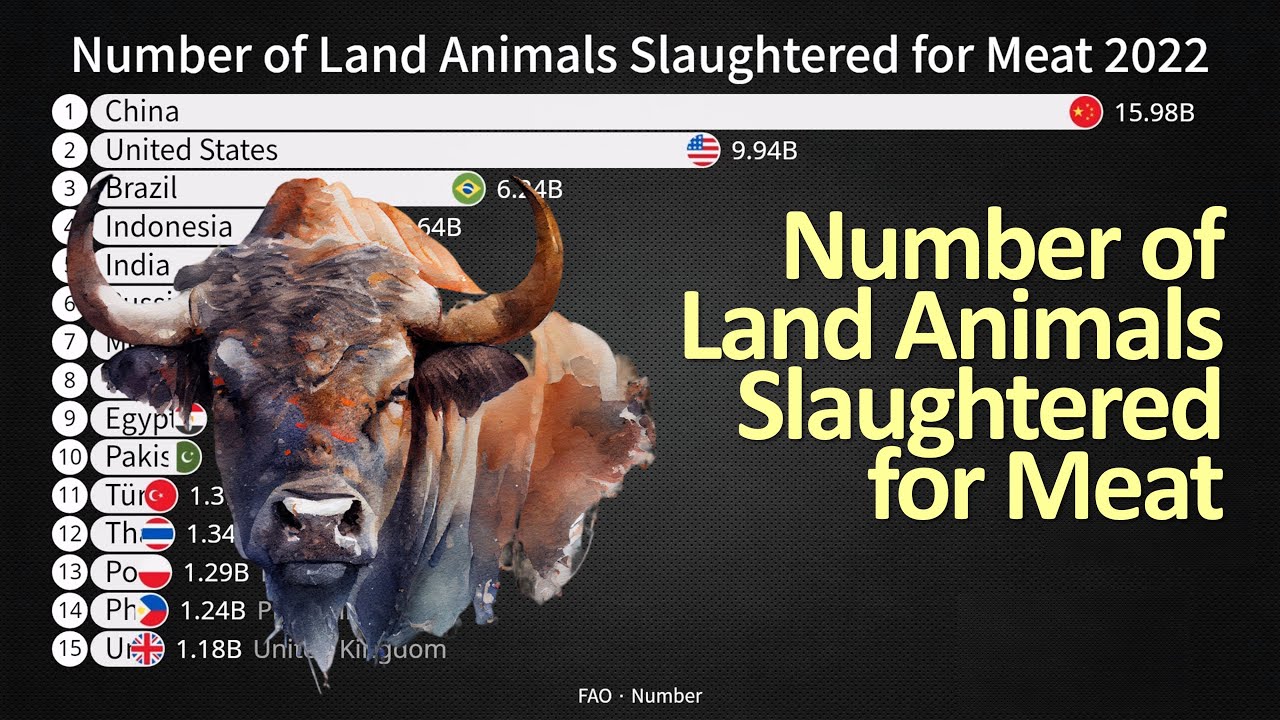 Number of Land Animals Slaughtered for Meat by Country 1961-2022 - YouTube
