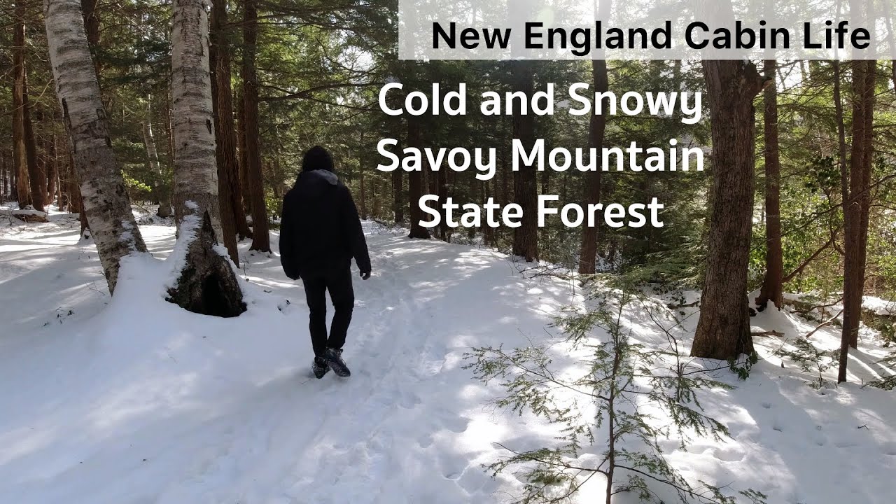 Winter Visit To Cold And Snowy Savoy Mountain State Forest - New ...