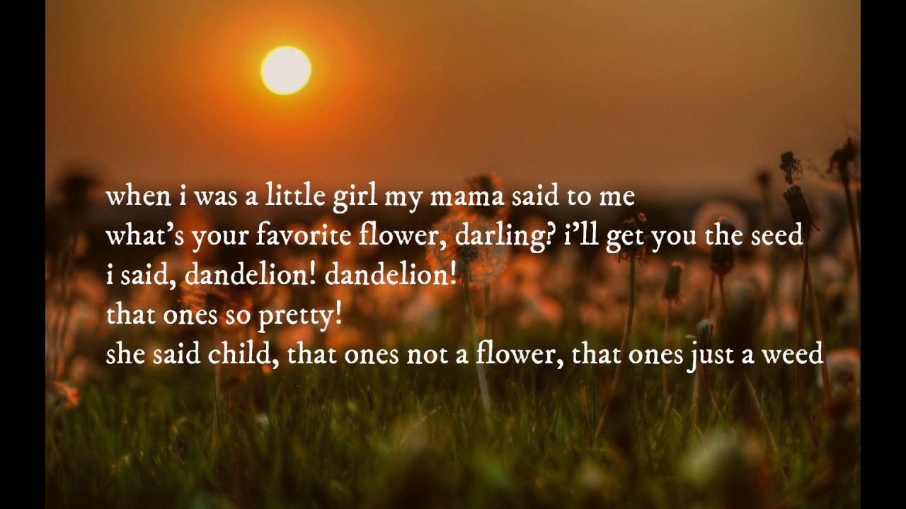 Gabbie Hanna Dandelion Lyrics Youtube