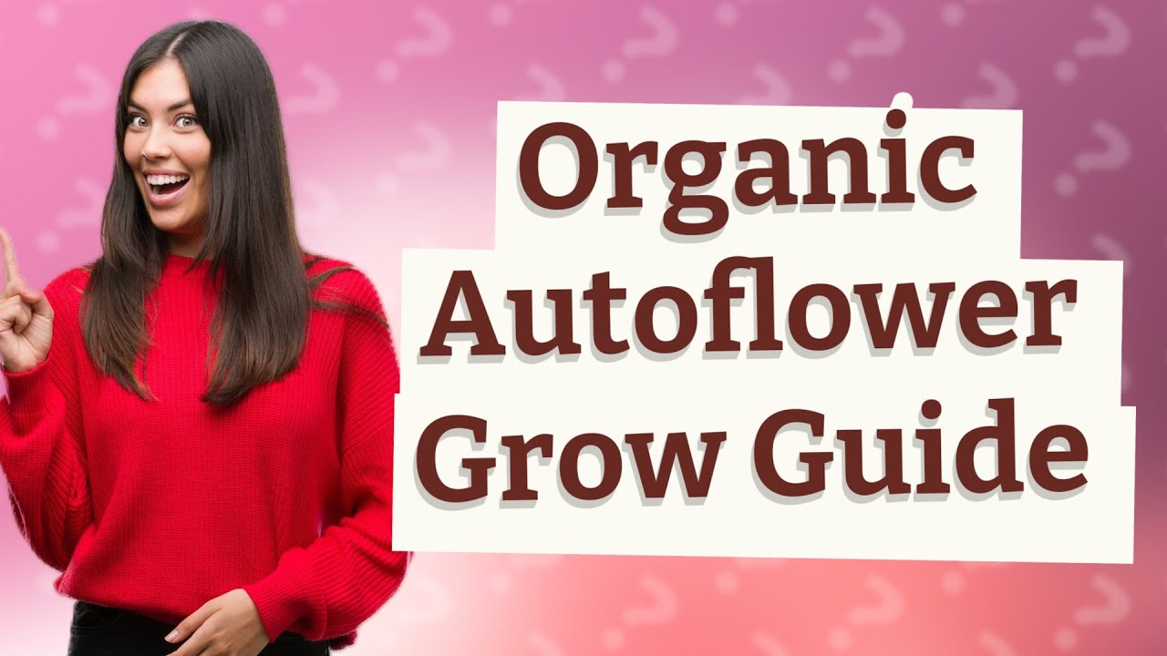 How Can I Easily Start My Own Organic Autoflower Grow? - YouTube