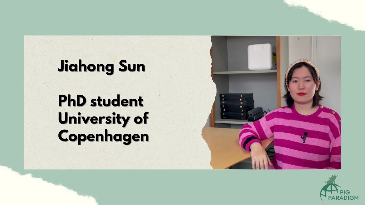 Exploring PIG-PARADIGM with Jiahong Sun - YouTube