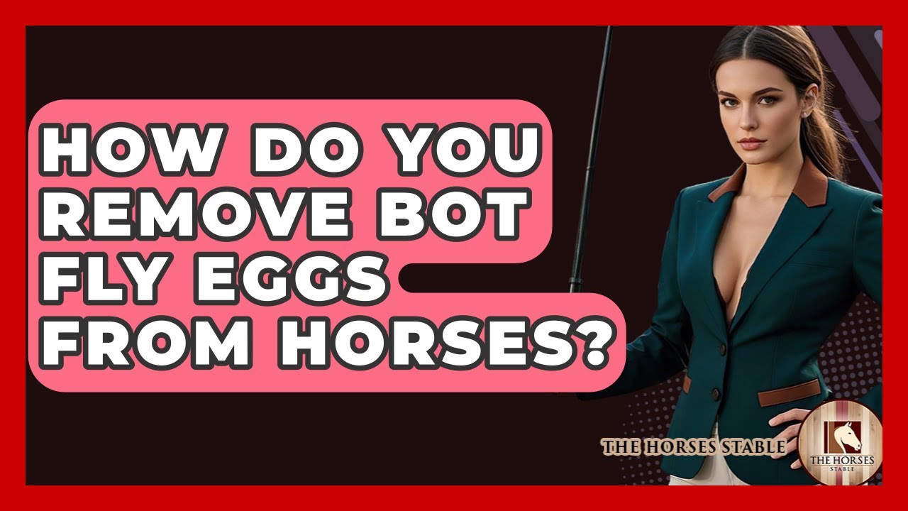 How Do You Remove Bot Fly Eggs From Horses? - The Horses Stable - YouTube