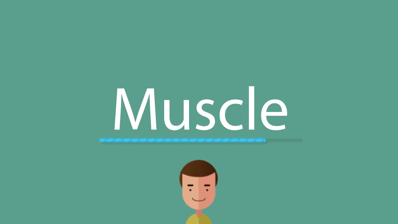 How to say Muscle - YouTube