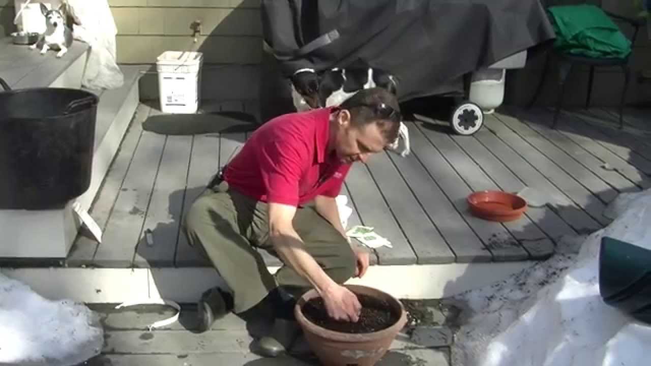 Early Spring Planting - YouTube