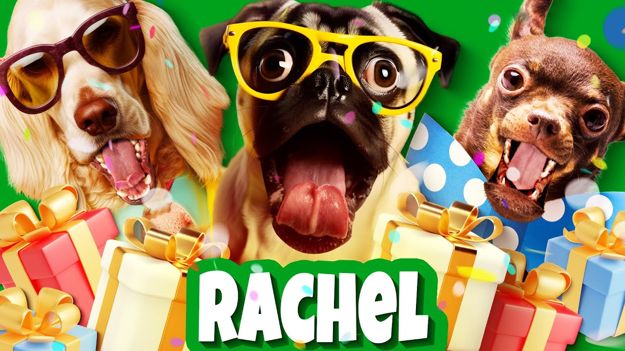 Laugh and Celebrate RACHEL's Birthday with Singing Dogs 🐶 - YouTube