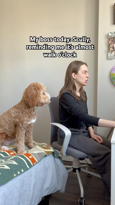 Scully says: ‘Sign out. Grab the leash. Let’s go.’ #puppy #dogslife #dogshorts #trend - YouTube