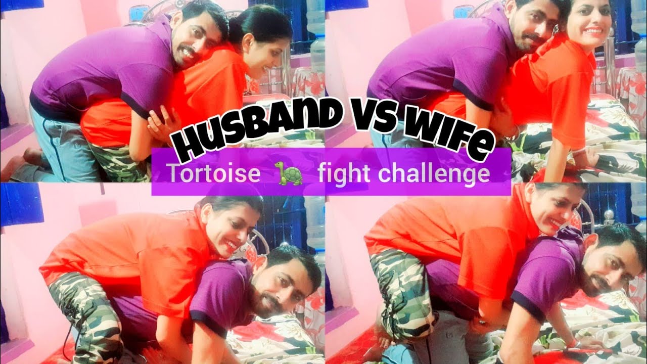 🐢 tortoise fight challenge// Fun with husband// wife - YouTube