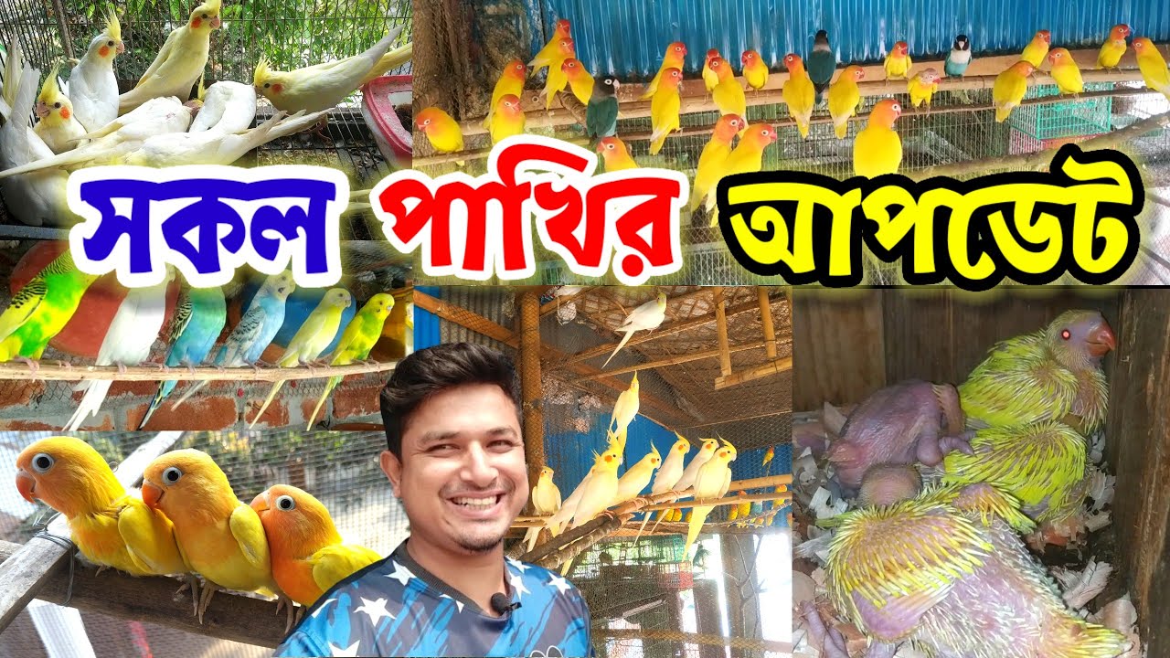 পাখির খামার বাংলাদেশ সকল পাখির আপডেট || pakhir khamar bangladesh ...