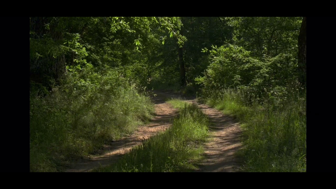 CF’84: Bund Reservists Ambush a VDV platoon - YouTube