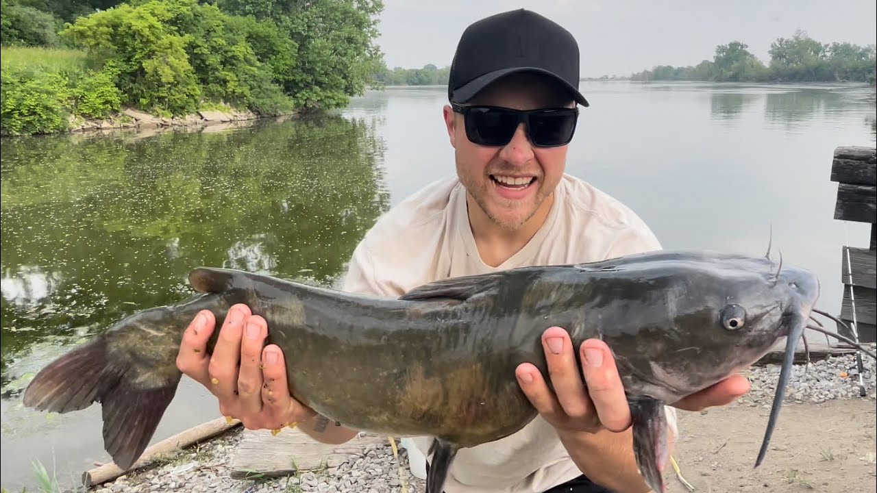 Catfish Beatdown On The Saginaw! BIG Channel Cats! - YouTube