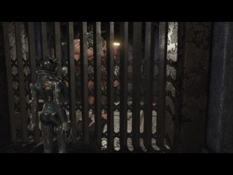 Batman: Return to Arkham - Arkham City Catwomen’Bane line(with cc lyrics)