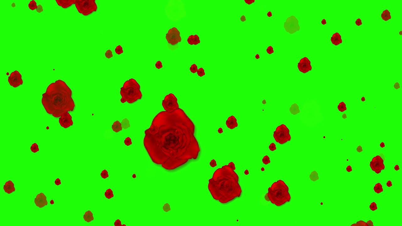green screen - Red roses Red - YouTube